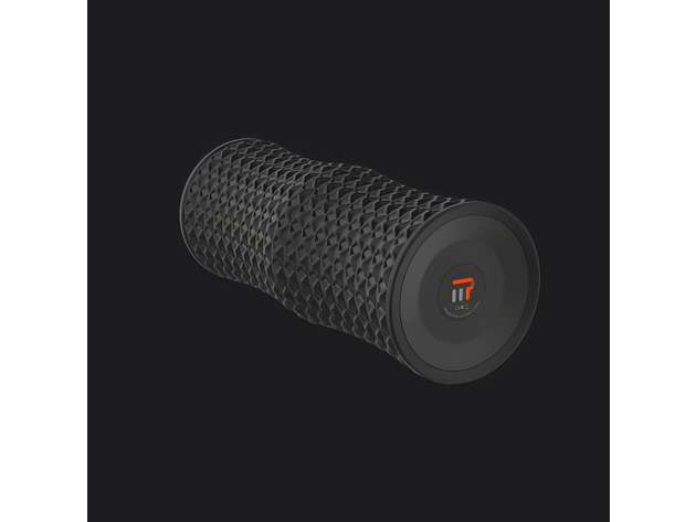 Vibe Foam Roller 2 | Black Enterprise