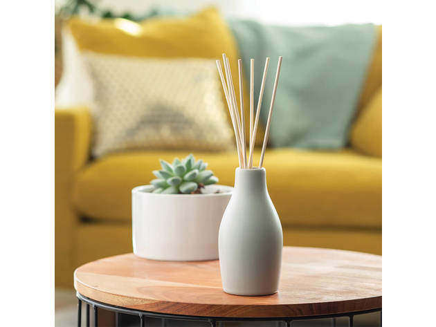 Candle Warmers RDSLS Sweet Love Spell Reed Diffuser | Cracked