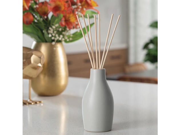 Candle Warmers RDSLS Sweet Love Spell Reed Diffuser | Cracked