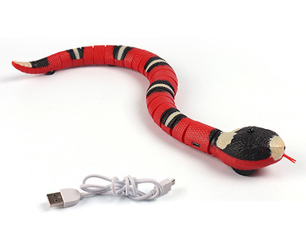 Sneaky Snake: Smart Interactive Cat Toy | StackSocial