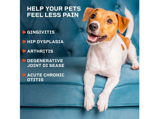 Biolux | theChive University