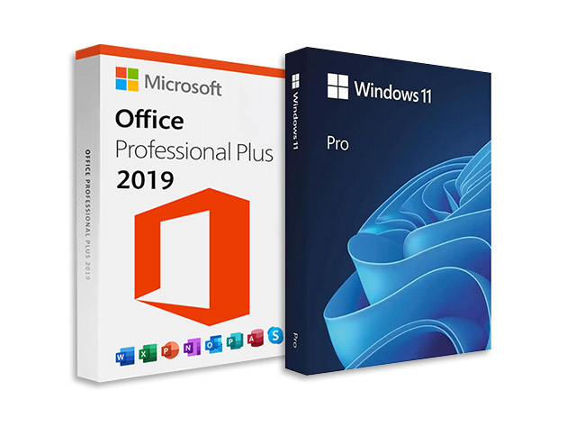 The All-in-One Microsoft Office Pro 2019 for Windows: Lifetime License ...