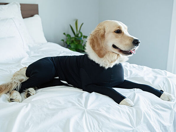 Shed Defender® Original: The World's First Onesie for Dogs (Black/XXL ...
