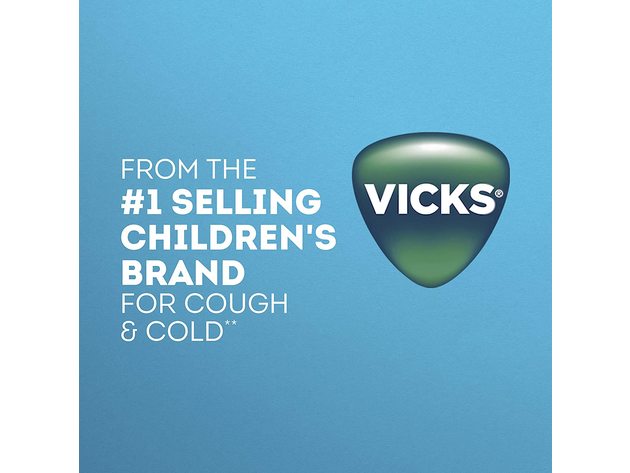 Vicks Children's Cough and Congestion Day Relief Liquid ...
