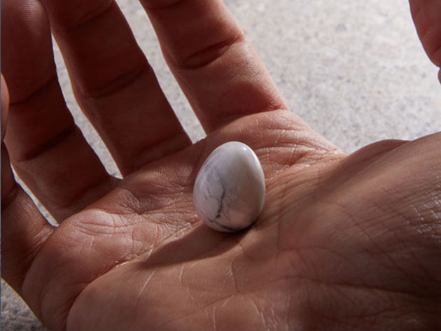 Thinking Egg - Howlite Stone | Calming | StackSocial
