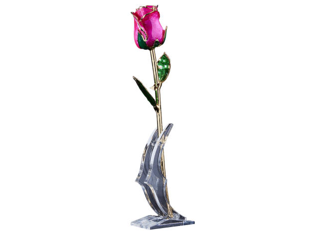 24K Gold Preserved Eternal Rose: Celebration Rose | Joyus