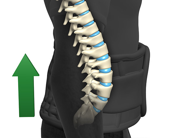 Dr. Ho's 2-in-1 Back Decompression Belt | WJXT