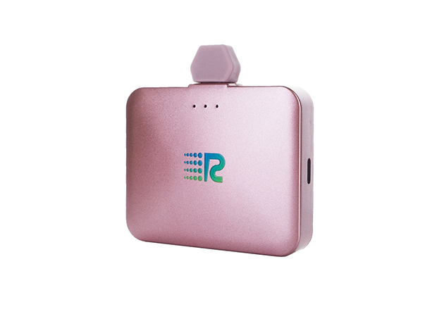 Rush Charge Max: 3,600mAh Apple Lightning Battery Charger (Rose ...